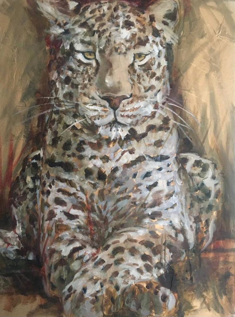 Limited Edition Zorro Print by Shelley Adams - Panthera Africa