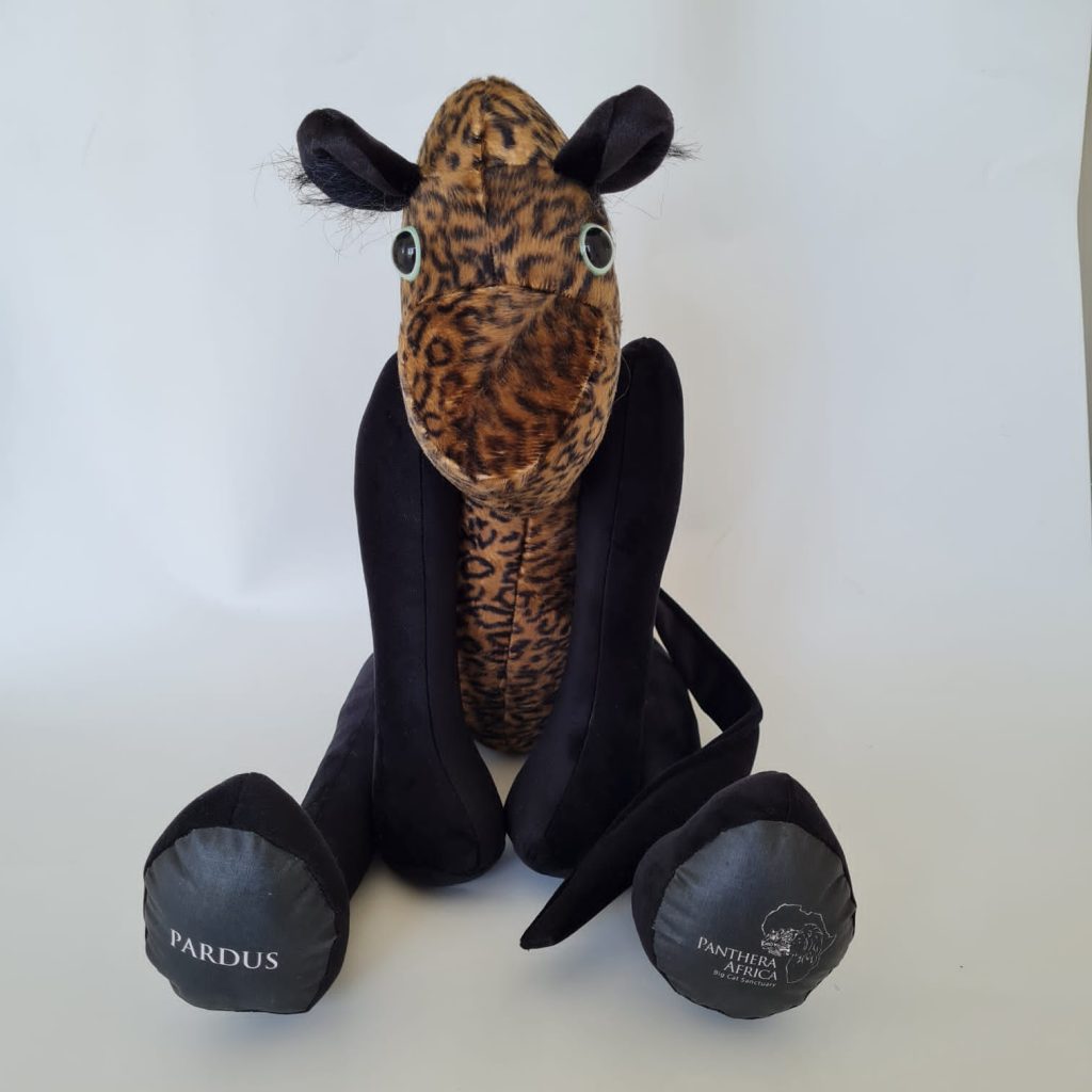 Pardus - Panthera Africa