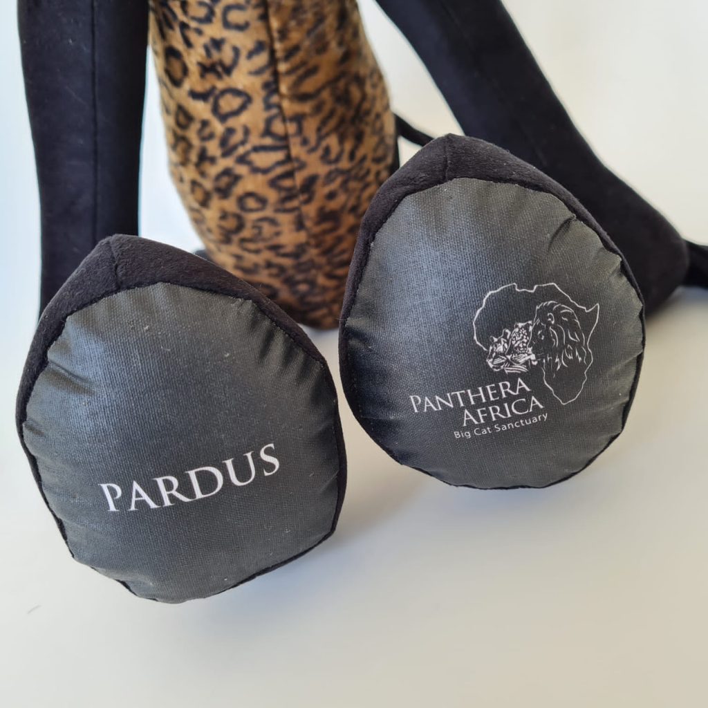 Pardus - Panthera Africa